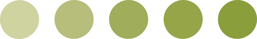 Robinson Ruhnke, PC: A professional tax and accounting firm in Carroll ...